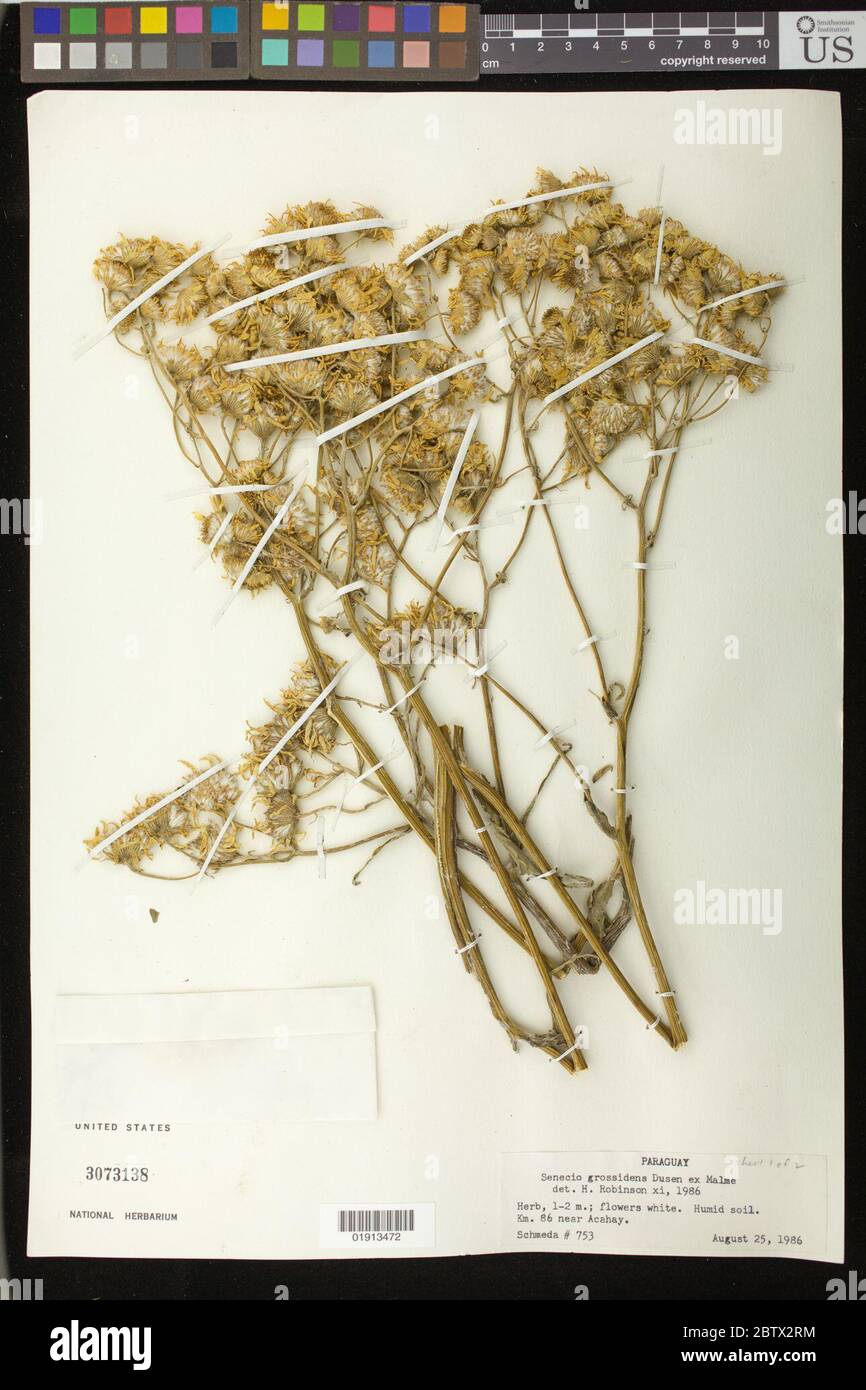 Dusn hi-res stock photography and images - Alamy