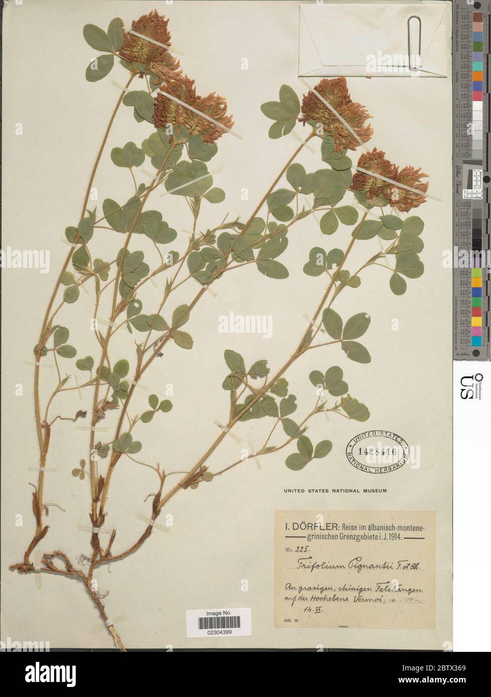 Noricum hi-res stock photography and images - Alamy