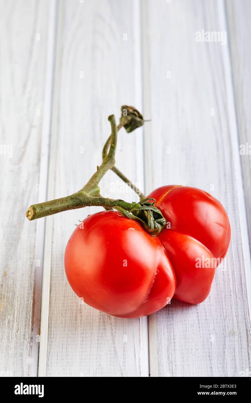 Severely malformed mutant tomato. Ugly fruit. Food shops mostly prefer ...