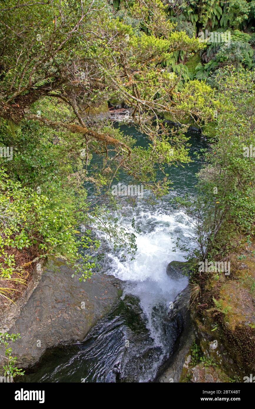 Whirinaki River High Resolution Stock Photography and Images - Alamy