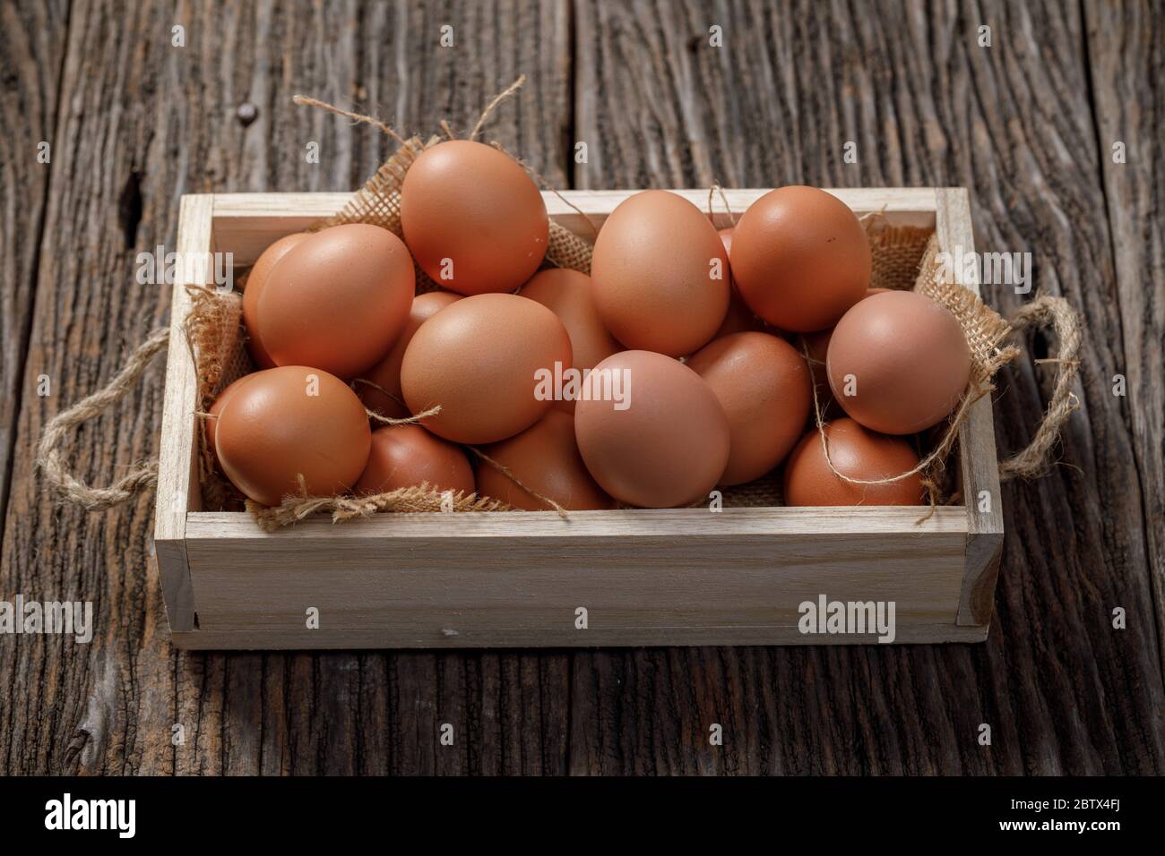 Hen wood duck hi-res stock photography and images - Alamy