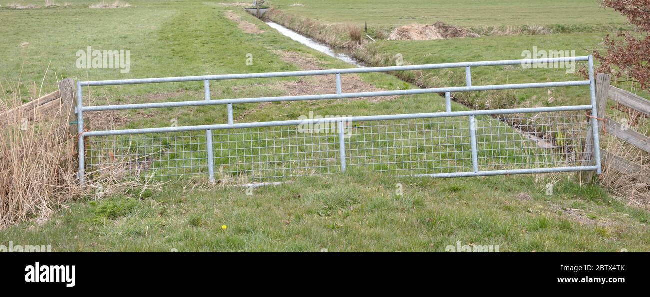 Metal fence and farm gate leading into grassy field, the Netherlands ...