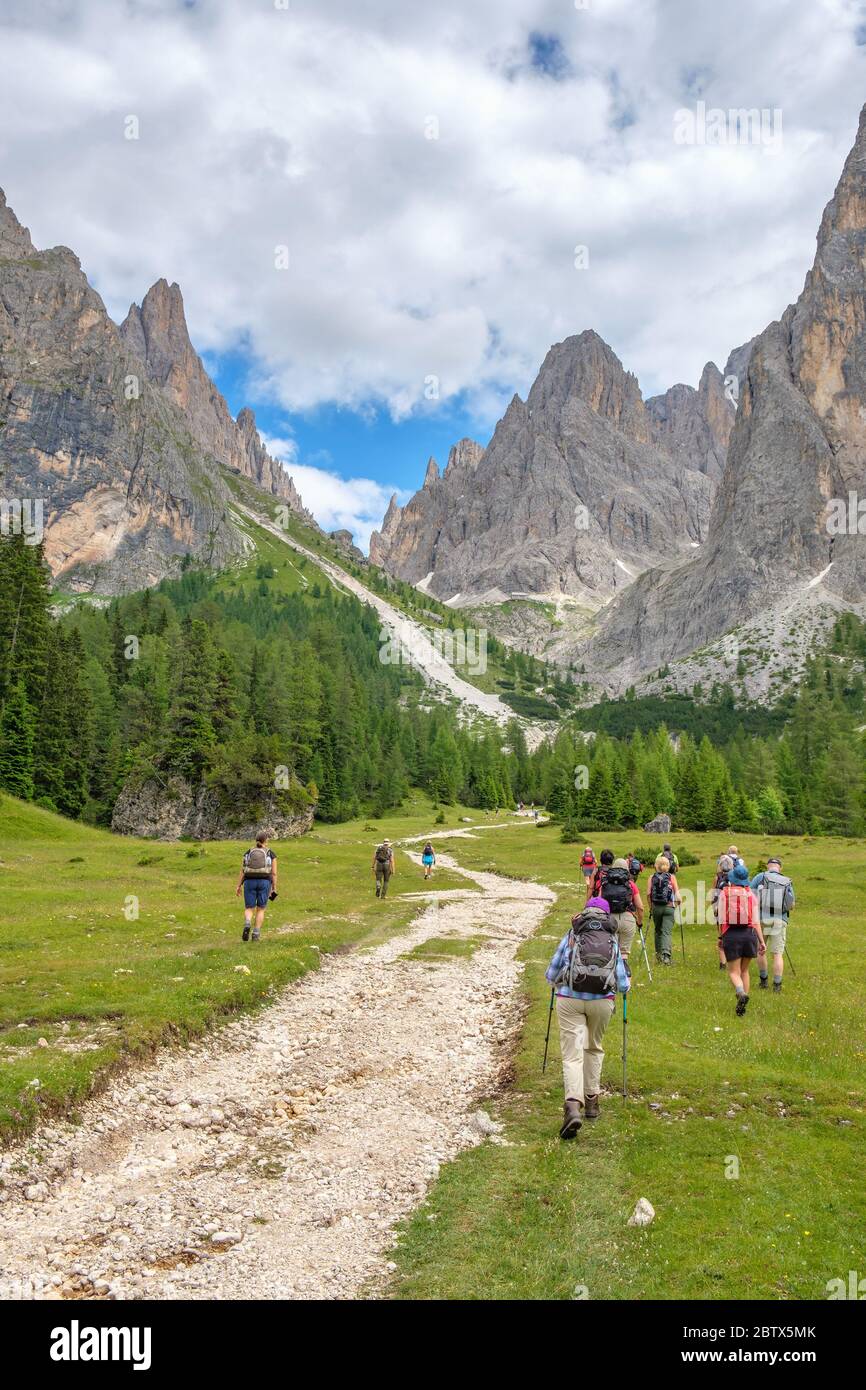 Hikers on a hiking trail in the Alps Stock Photo - Alamy