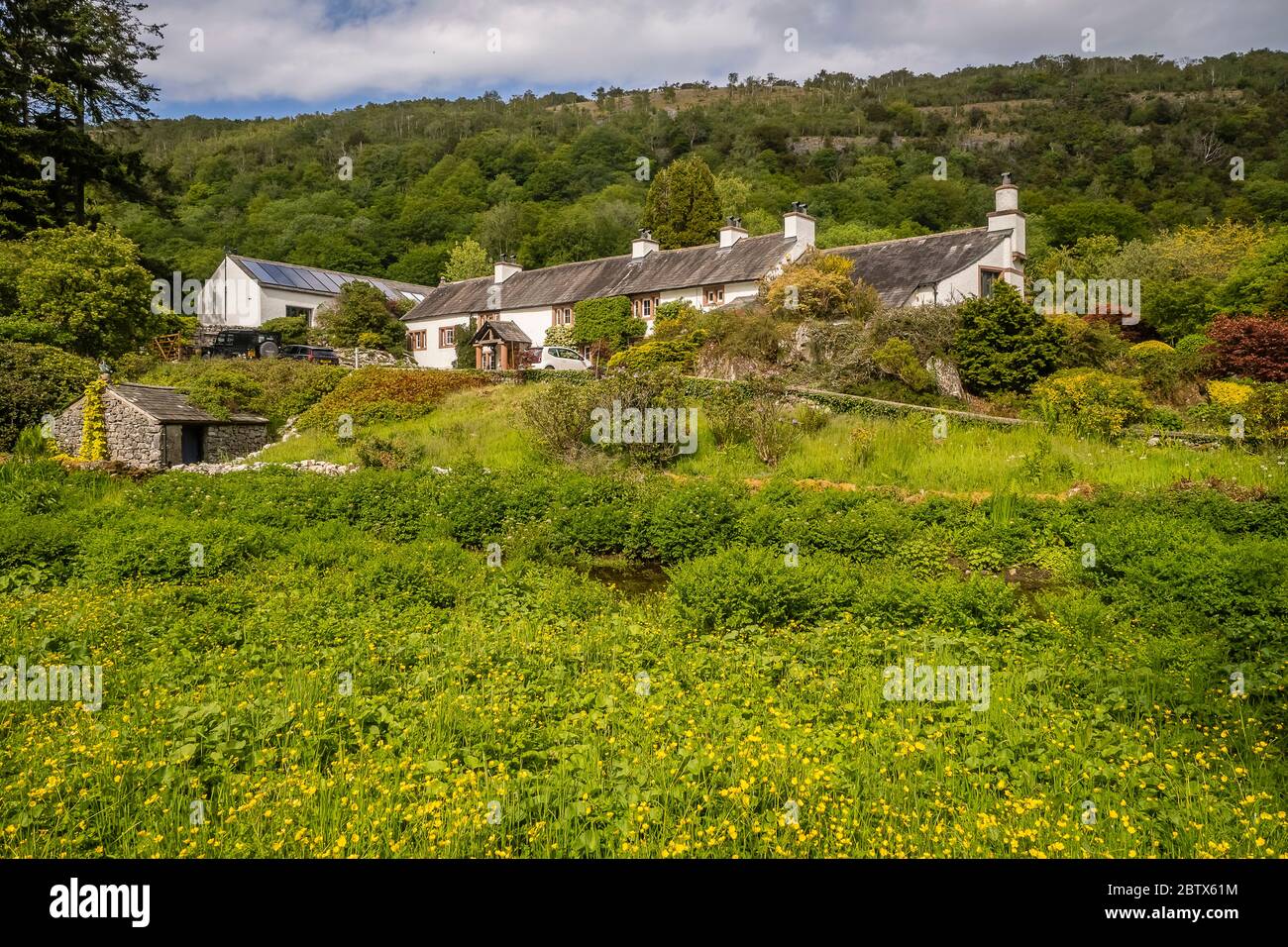 Whitbarrow forest hi-res stock photography and images - Alamy
