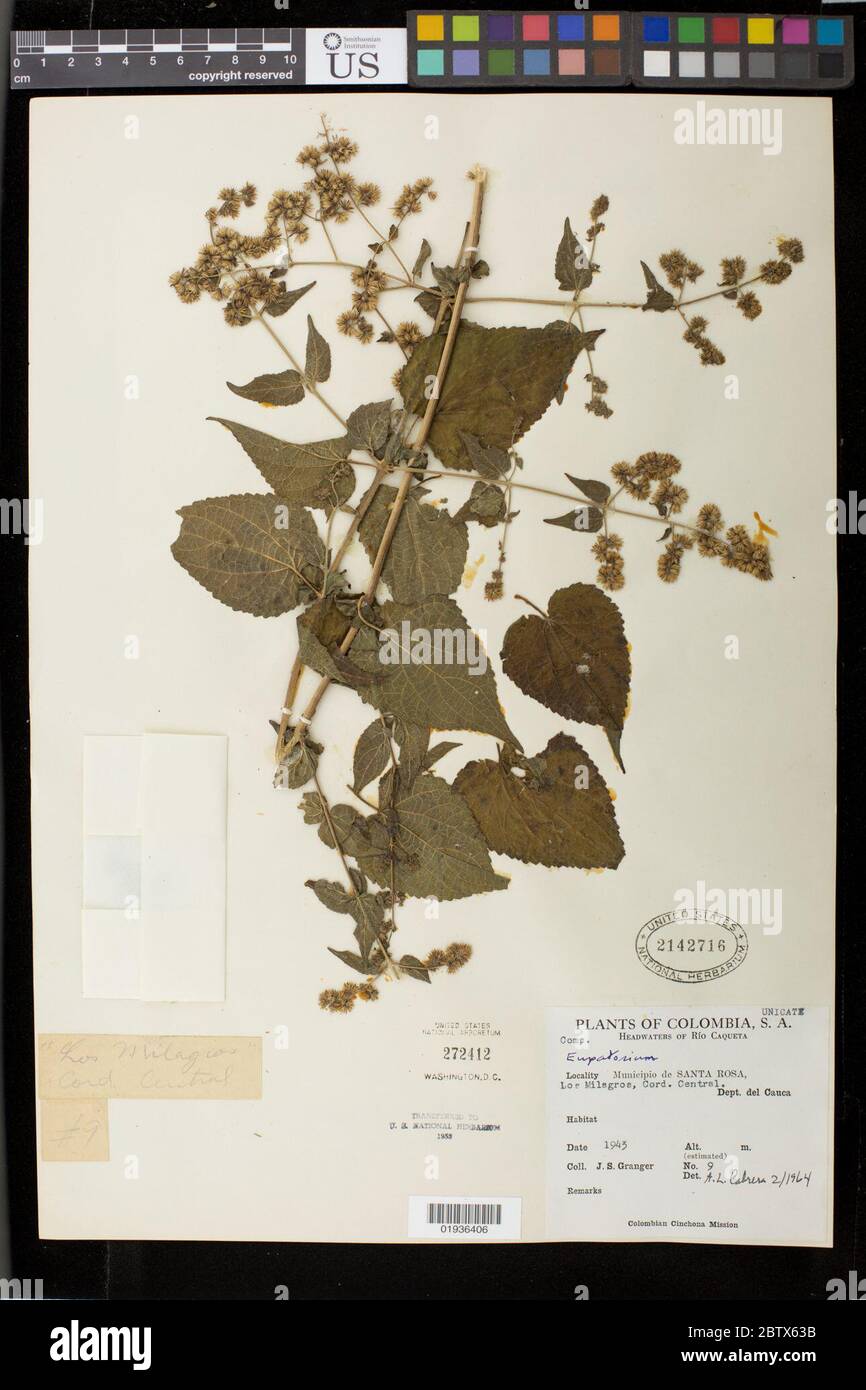 30 jul hi-res stock photography and images - Alamy