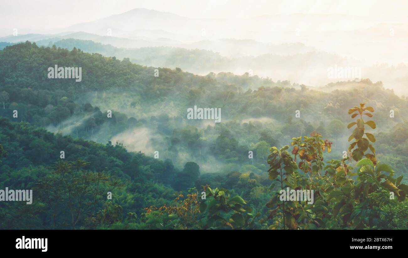 Foggy in the mountains with dramatic sky at sunrise Stock Photo - Alamy