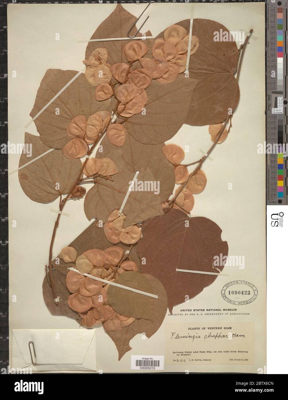 Chappar hi-res stock photography and images - Alamy