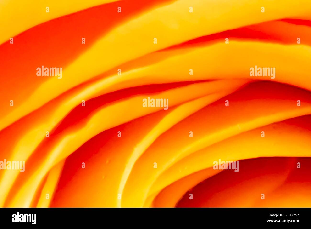 Detailed close up shot beautiful hi-res stock photography and images ...