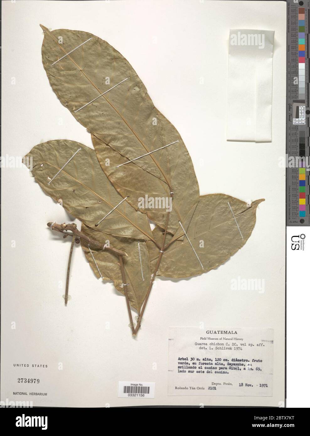 Chichon hi-res stock photography and images - Alamy