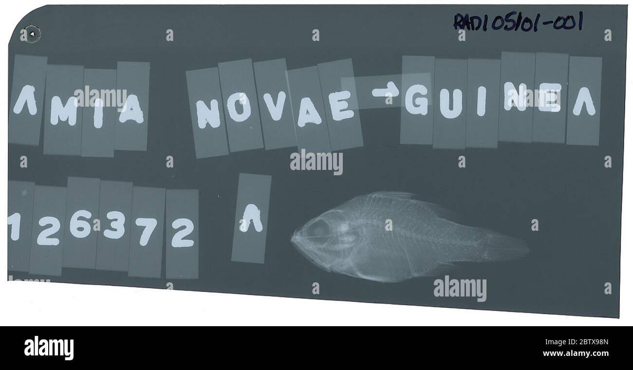 Temperate biodiversity Cut Out Stock Images & Pictures - Alamy