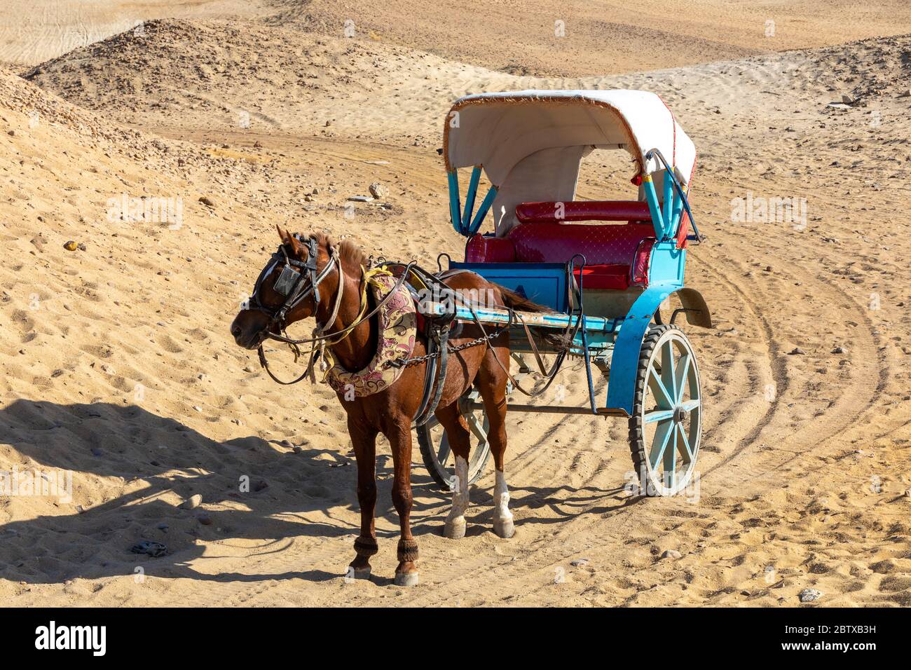 Horse-drawn carriage in desert near pyramids on Giza plateau, Cairo ...