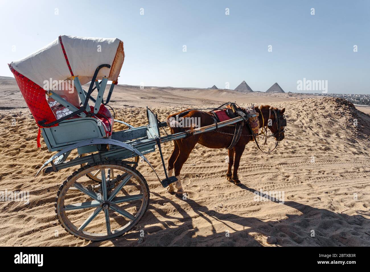 Horse-drawn carriage in desert near pyramids on Giza plateau, Cairo ...