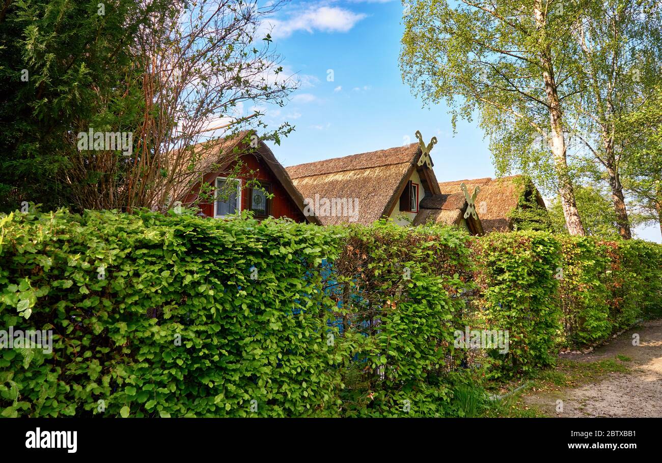 Hedge row front hi-res stock photography and images - Alamy