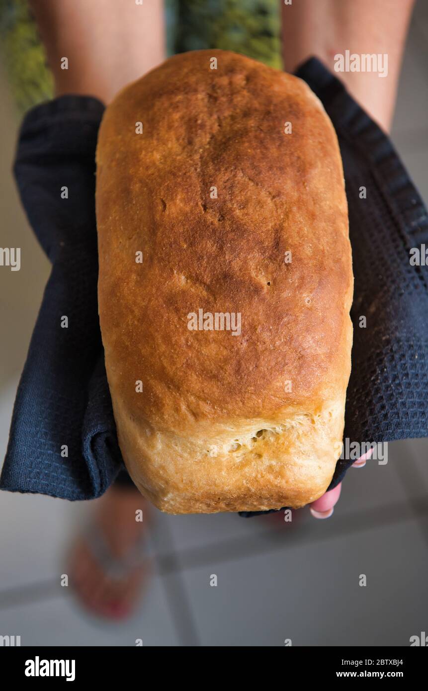 Woman arms holding a freshly cooked bread Stock Photo - Alamy