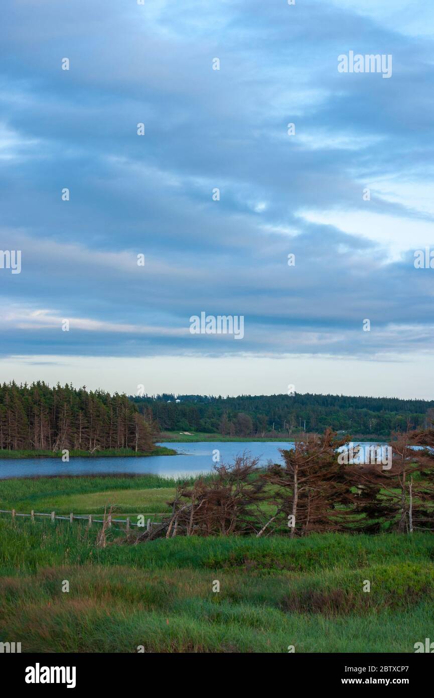 Cavendish Dunelands Trail along the Lake of Shining Waters. Stunning ...