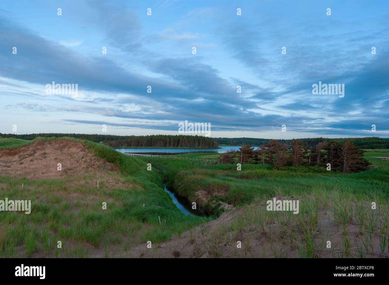 Cavendish Dunelands Trail along the Lake of Shining Waters. Stunning ...