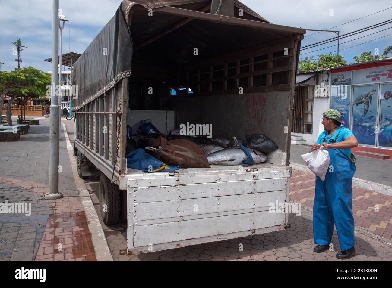 yellowfin tuna ready for sale on a truck at the fish market of Puerto ...