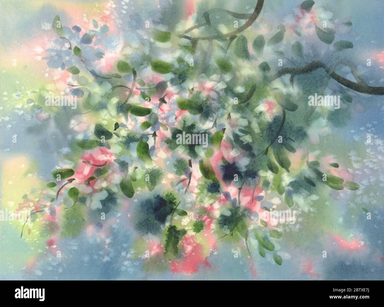 Watercolor blooming apple tree hi-res stock photography and images - Alamy