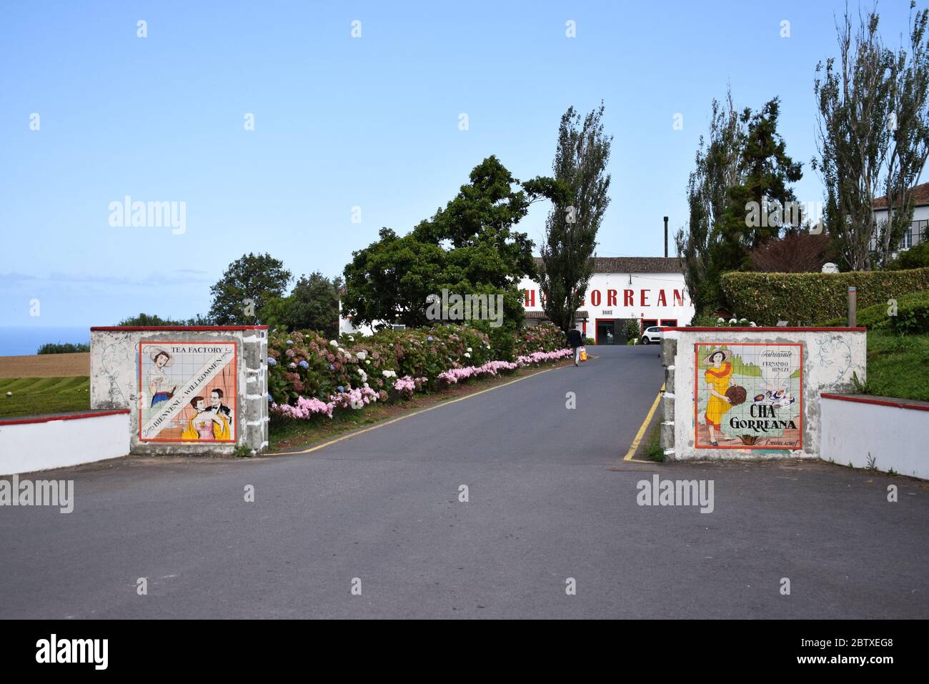 Azorean island hi-res stock photography and images - Alamy