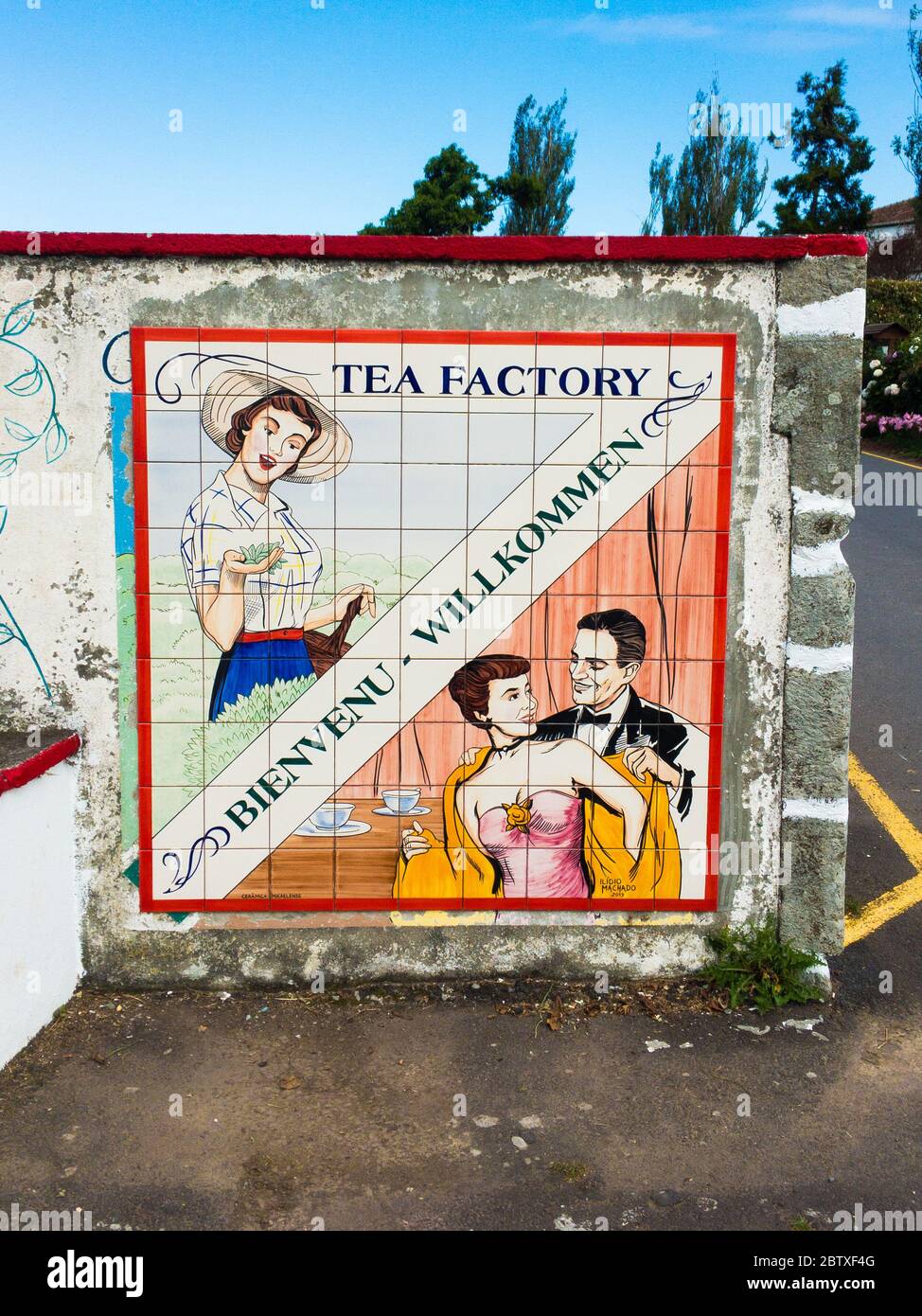 Tea factory, Azorean island production Stock Photo - Alamy