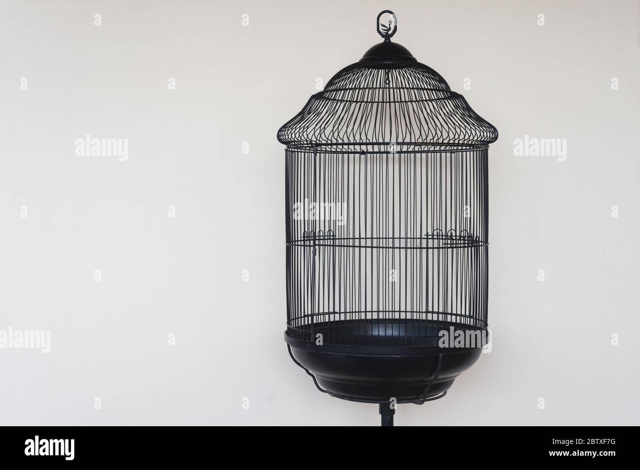 Bird cage hi-res stock photography and images - Alamy