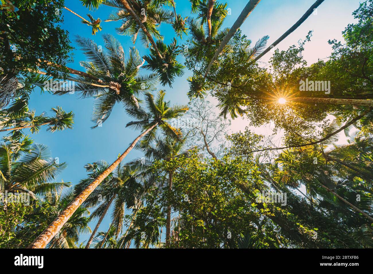 India goa landscape wide view hi-res stock photography and images - Alamy