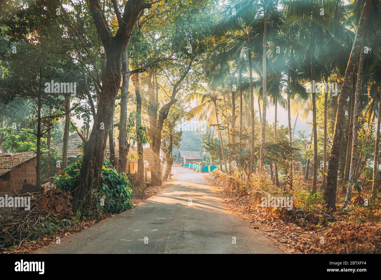 Goa, India. Country Road Through An Indian Village. Morning Dawn Haze ...