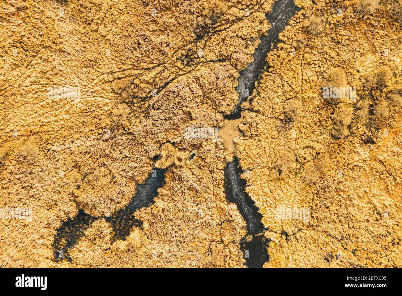 Aerial View Of Dry Grass And Frozen Marsh Swamp Landscape In Late ...