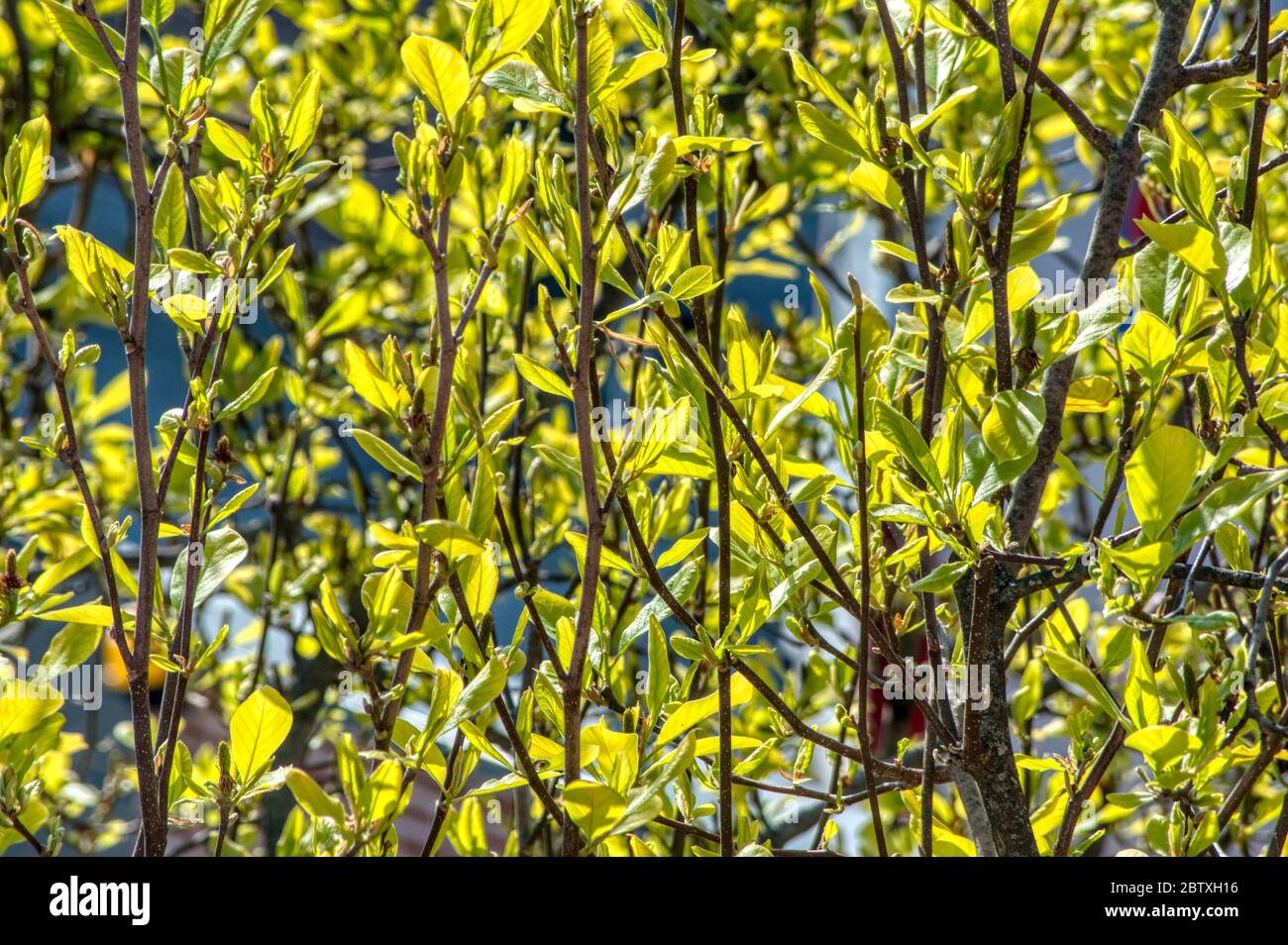 Foreground barrier hi-res stock photography and images - Alamy