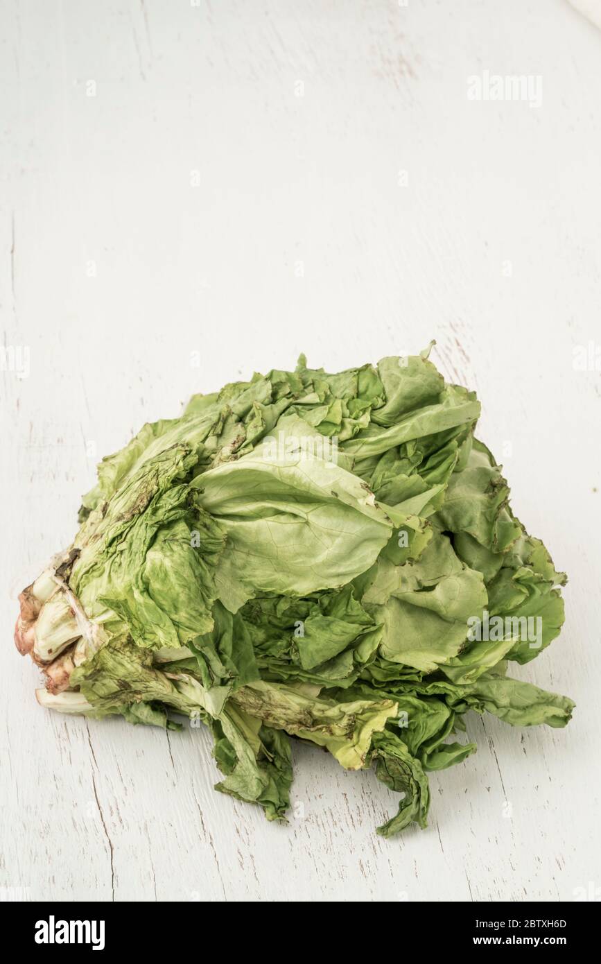 Rotting lettuce hi-res stock photography and images - Alamy