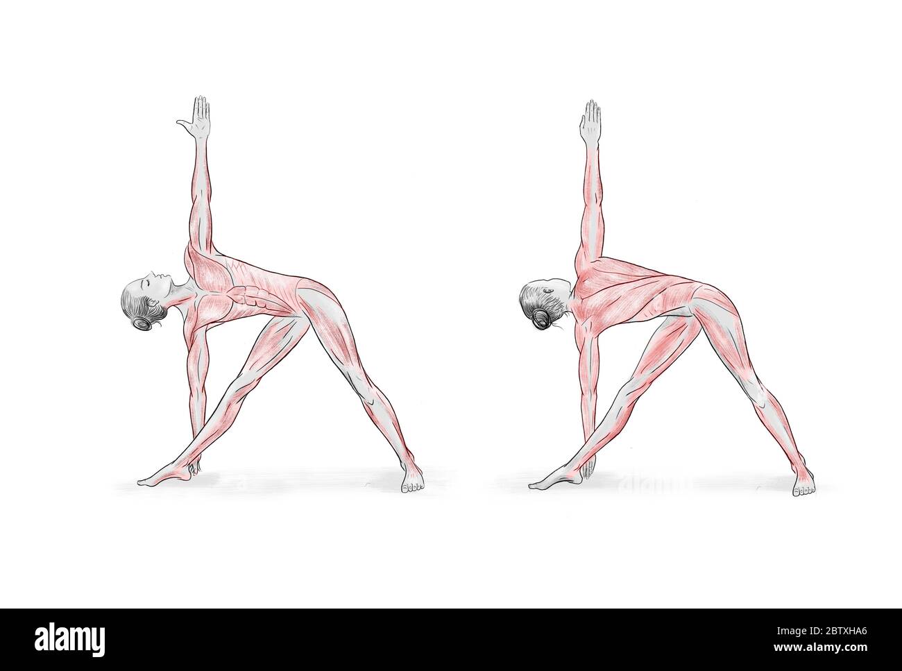 Yoga asanas hi-res stock photography and images - Alamy