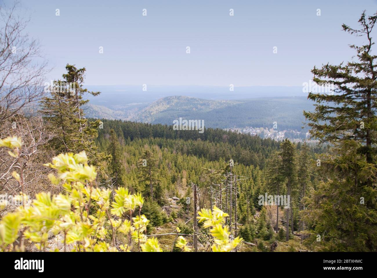 In the Harz Mountains, Germany Stock Photo - Alamy