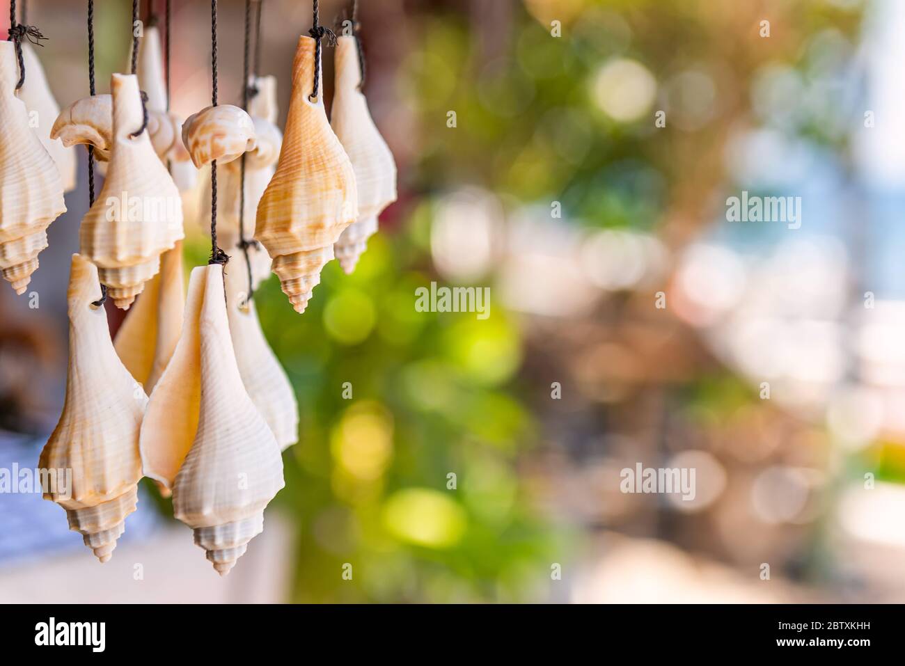 Indonesia Beach Shells High Resolution Stock Photography and Images - Alamy