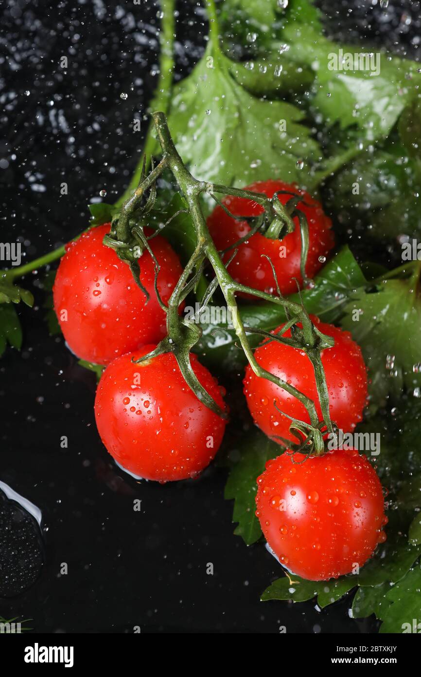 Flat lay view of cherry tomato , greenery , red paprika close up under the water drops in a ...