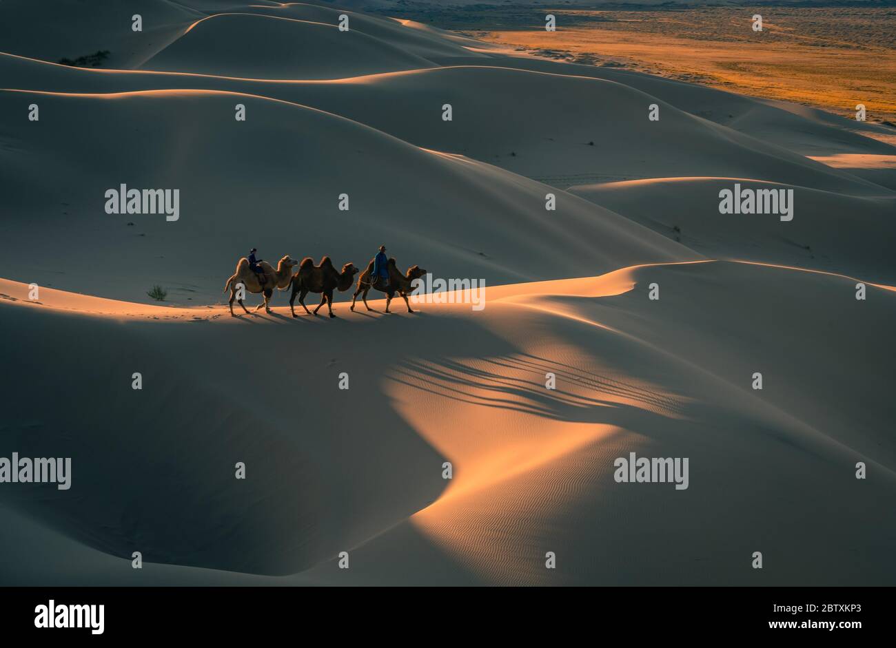 Person riding camel silhouette hi-res stock photography and images - Alamy