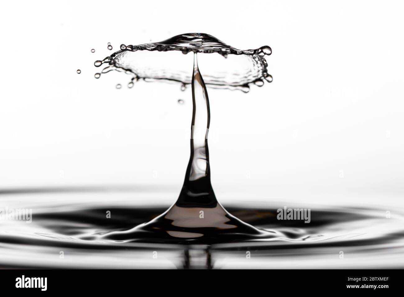 Closeup of collision of two water droplets hitting the surface, white ...