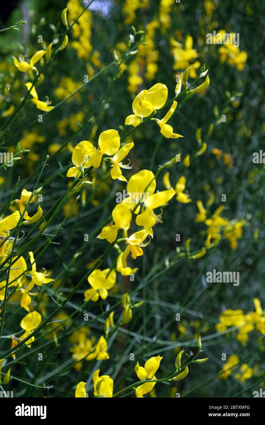 Mediteranea hi-res stock photography and images - Alamy