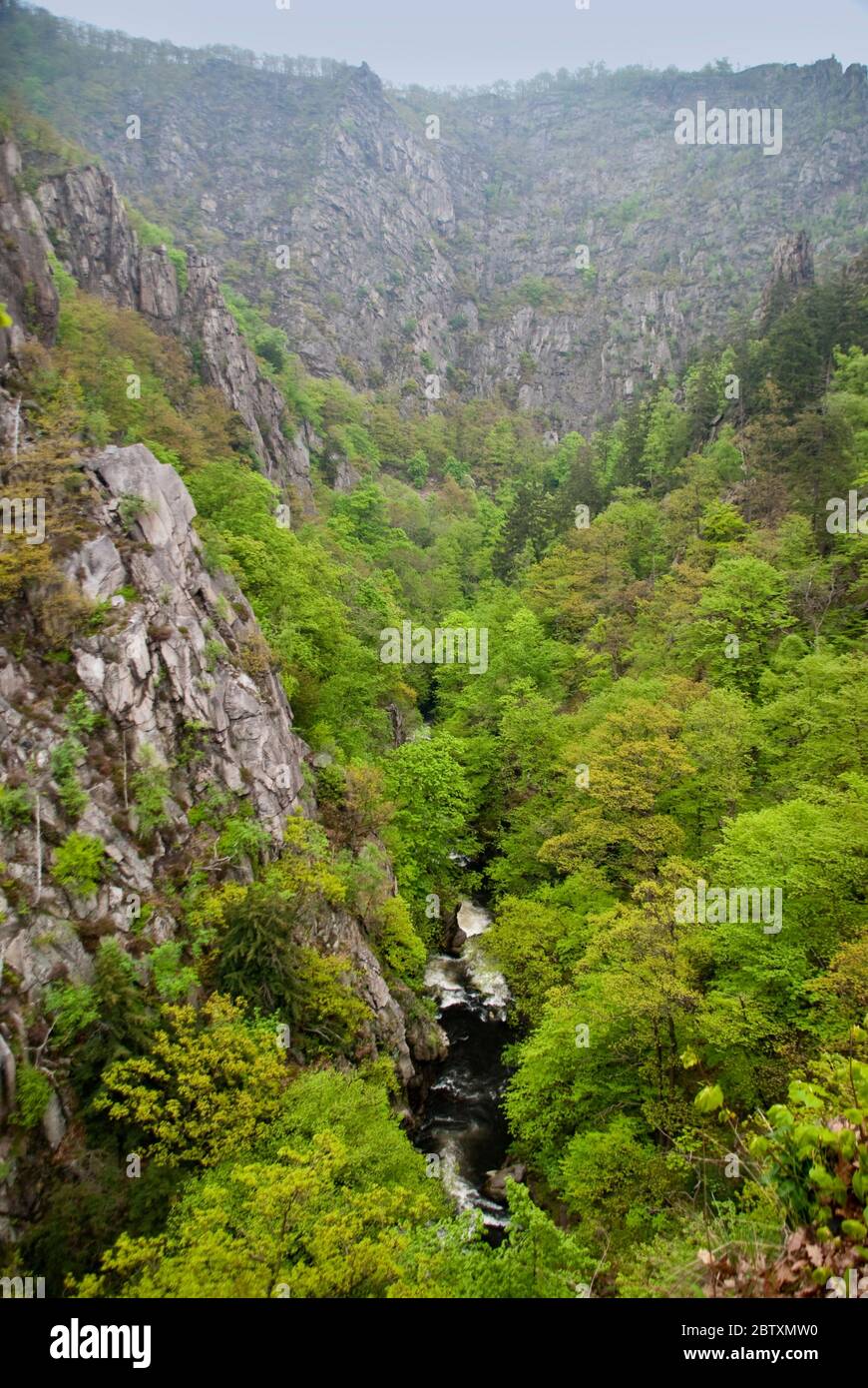 Gorge forest of the harz hi-res stock photography and images - Alamy