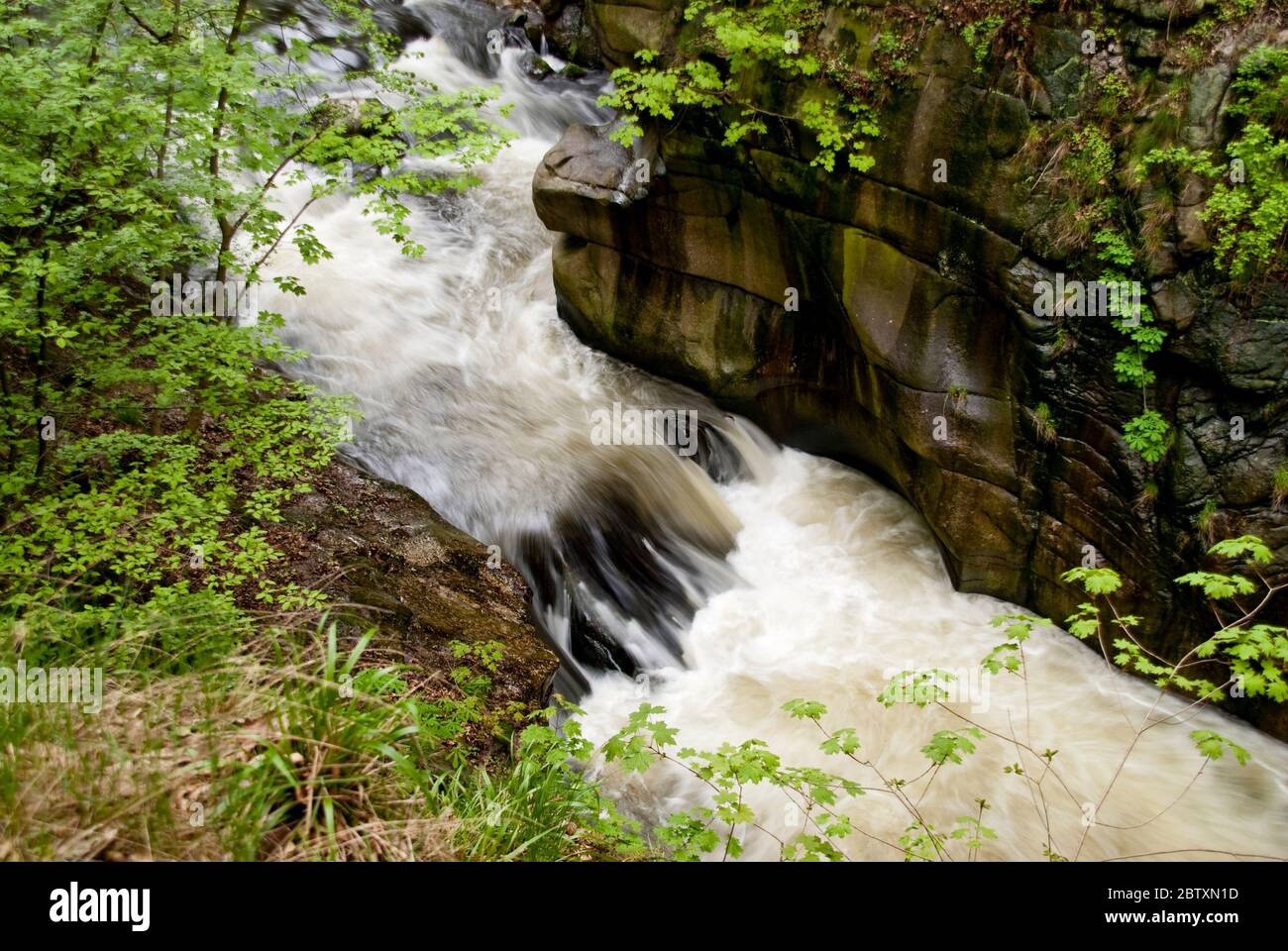 Gorge forest of the harz hi-res stock photography and images - Alamy