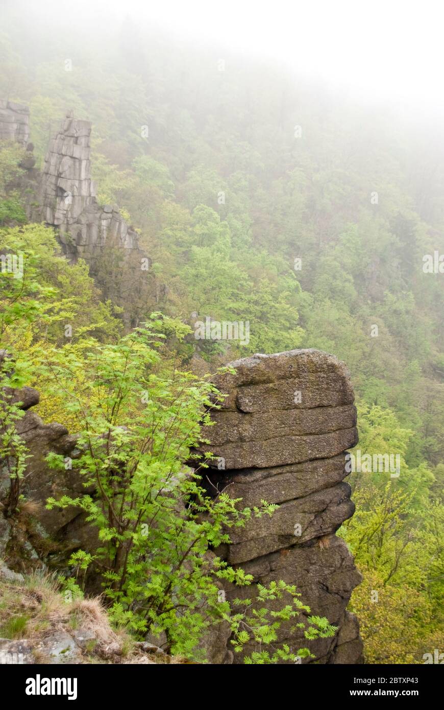 Germany harz mountains thale witch hi-res stock photography and images ...