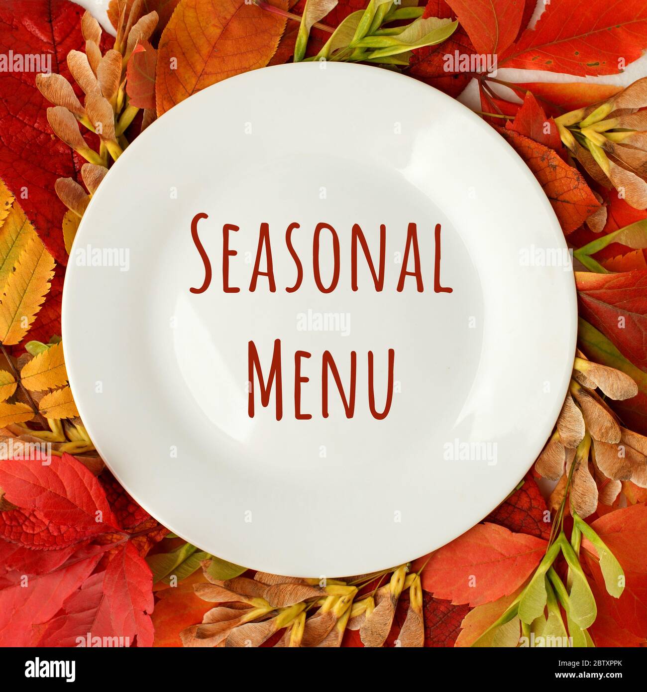 SEASONAL MENU Autumn composition concept background. Autumn bright ...