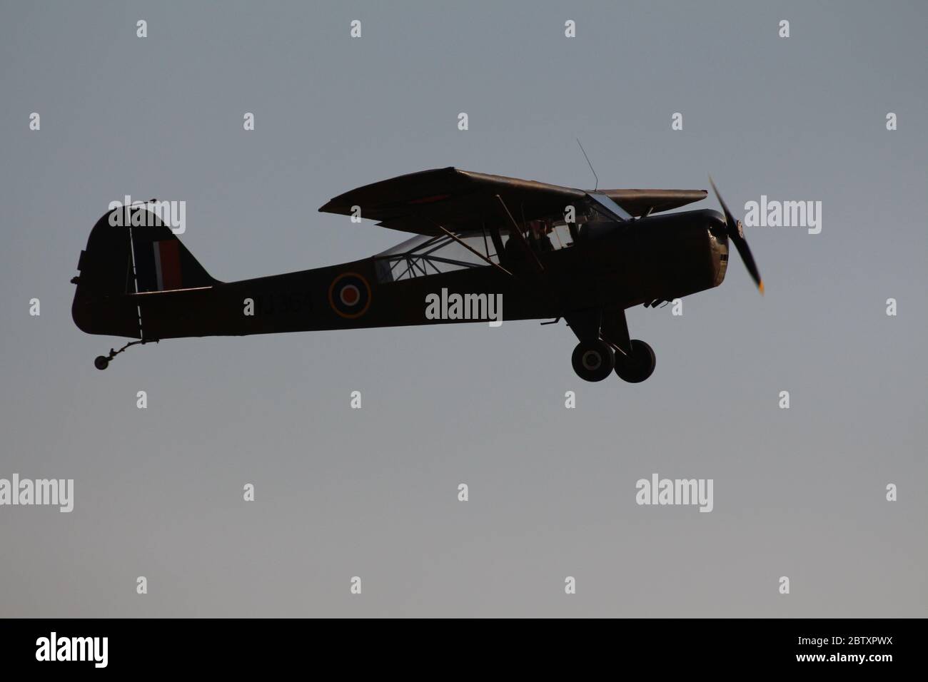 Auster 5 hi-res stock photography and images - Alamy