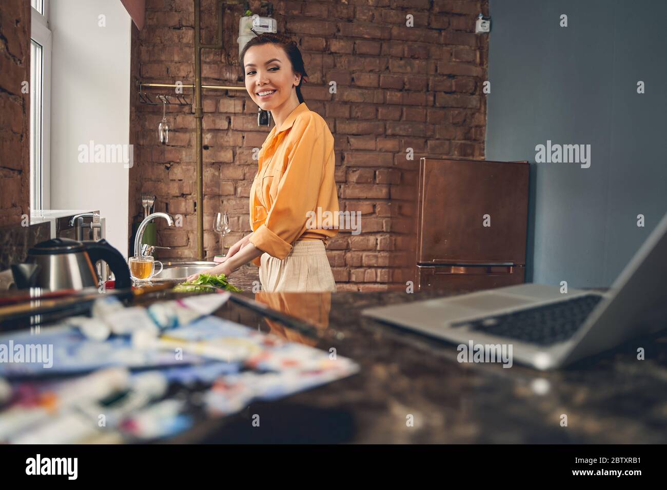 Lady Cook High Resolution Stock Photography and Images - Alamy