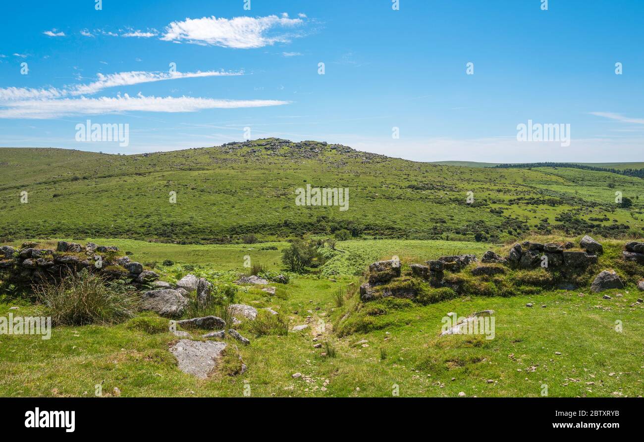 Down Tor seen from a footpath from Norsworthy Bridge. Dartmoor Natoinal ...