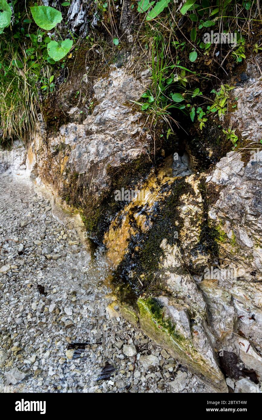 Clear And Fresh Water Flows From Mountain Spring Into River Stock Photo ...