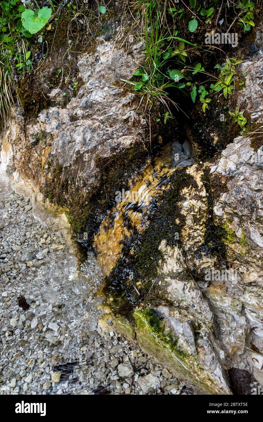 Spring drinking water flows hi-res stock photography and images - Alamy