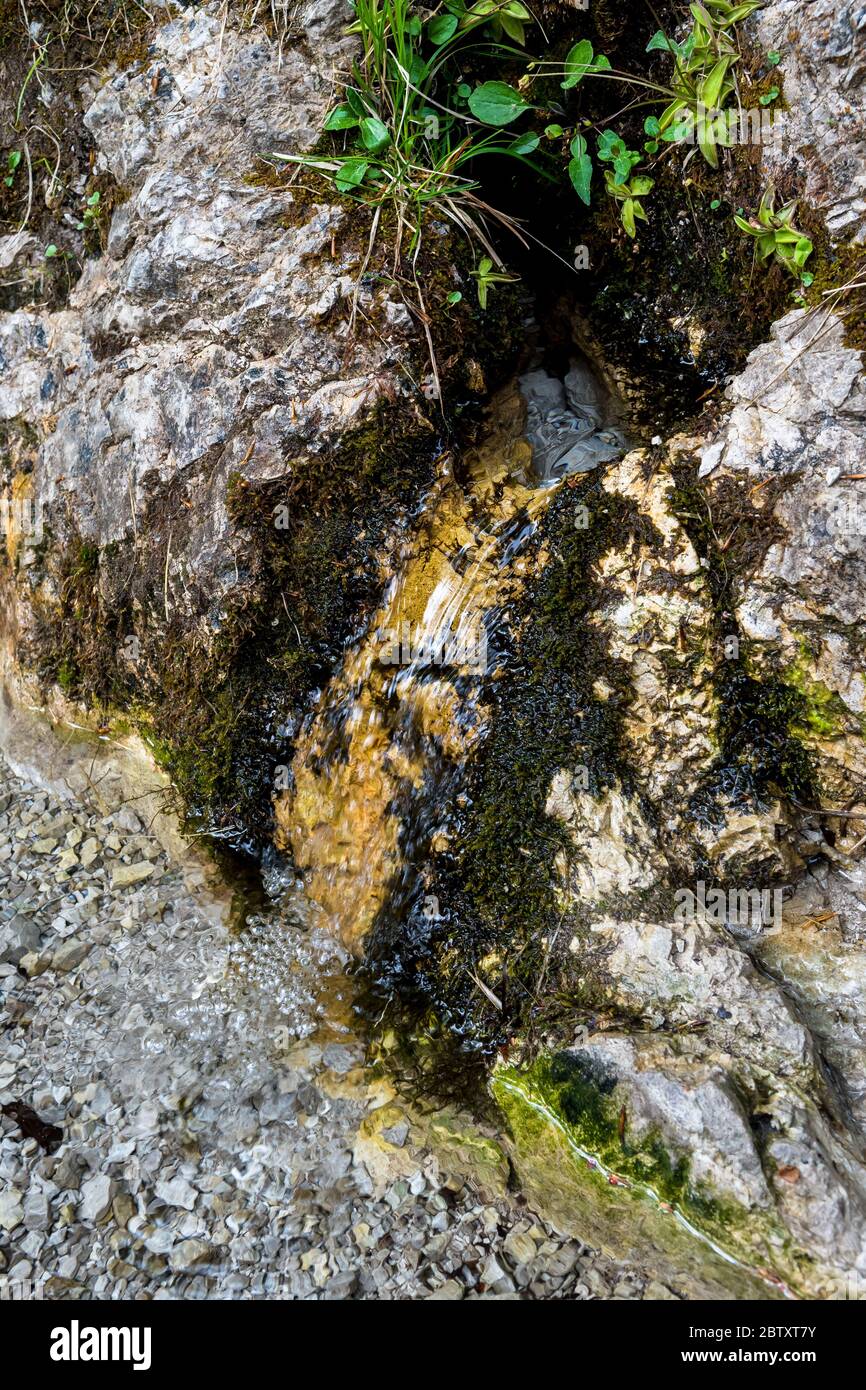 Clear And Fresh Water Flows From Mountain Spring Into River Stock Photo ...