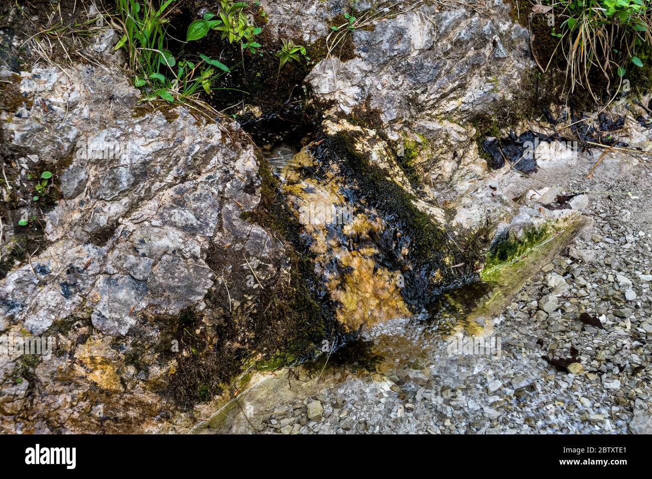 Clear And Fresh Water Flows From Mountain Spring Into River Stock Photo ...