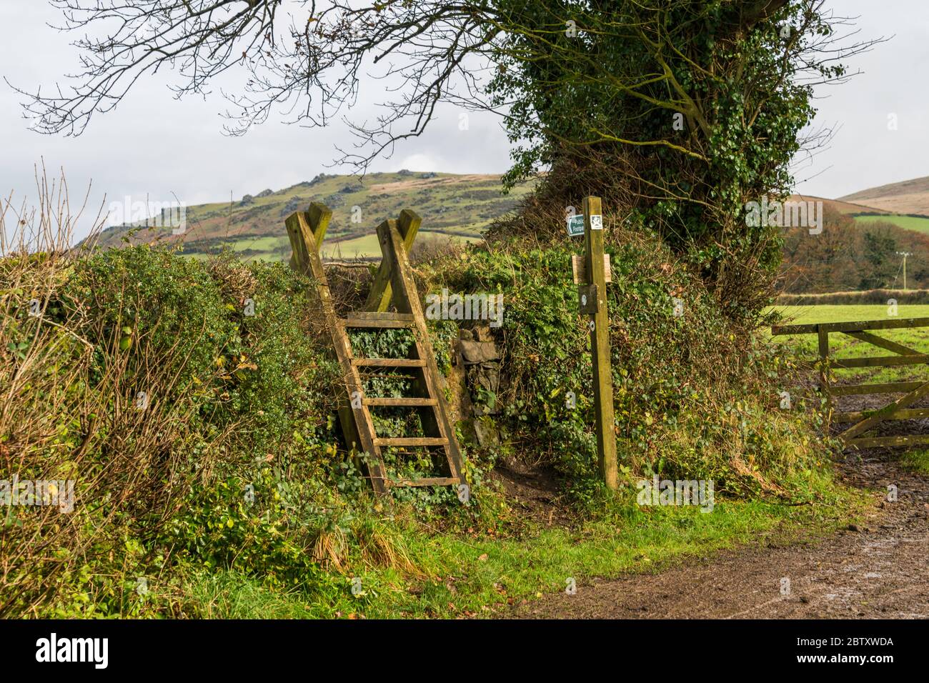 Ladder over fence hi-res stock photography and images - Alamy