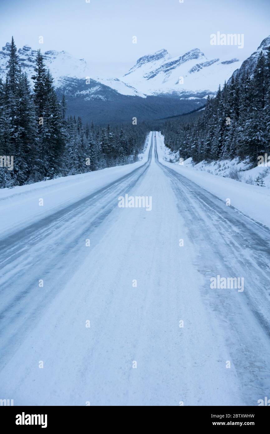 Winter in Banff National Park in Canadian Rocky Mountains Stock Photo ...